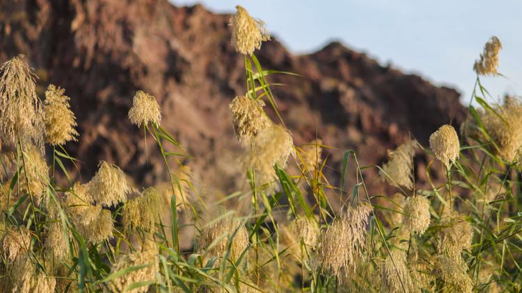 The Revival of Kantamanto Market | The Climate Tribe